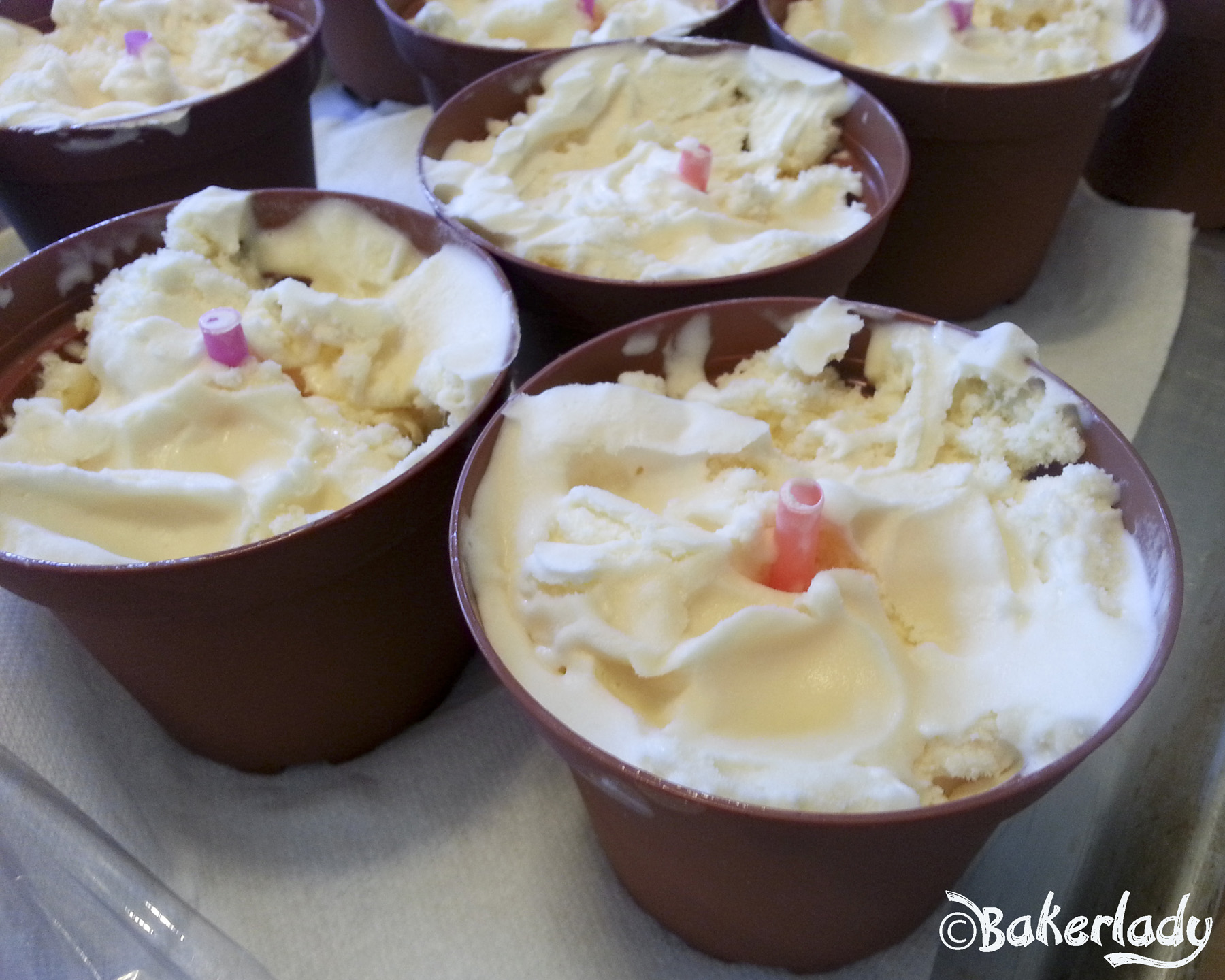 Ice Cream Flowerpots – Bakerlady