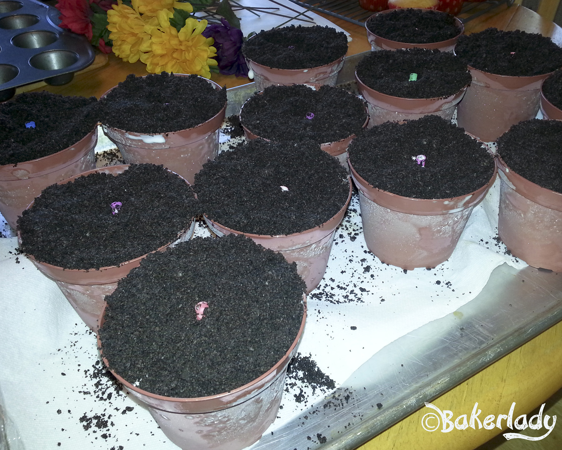 Ice Cream Flowerpots – Bakerlady